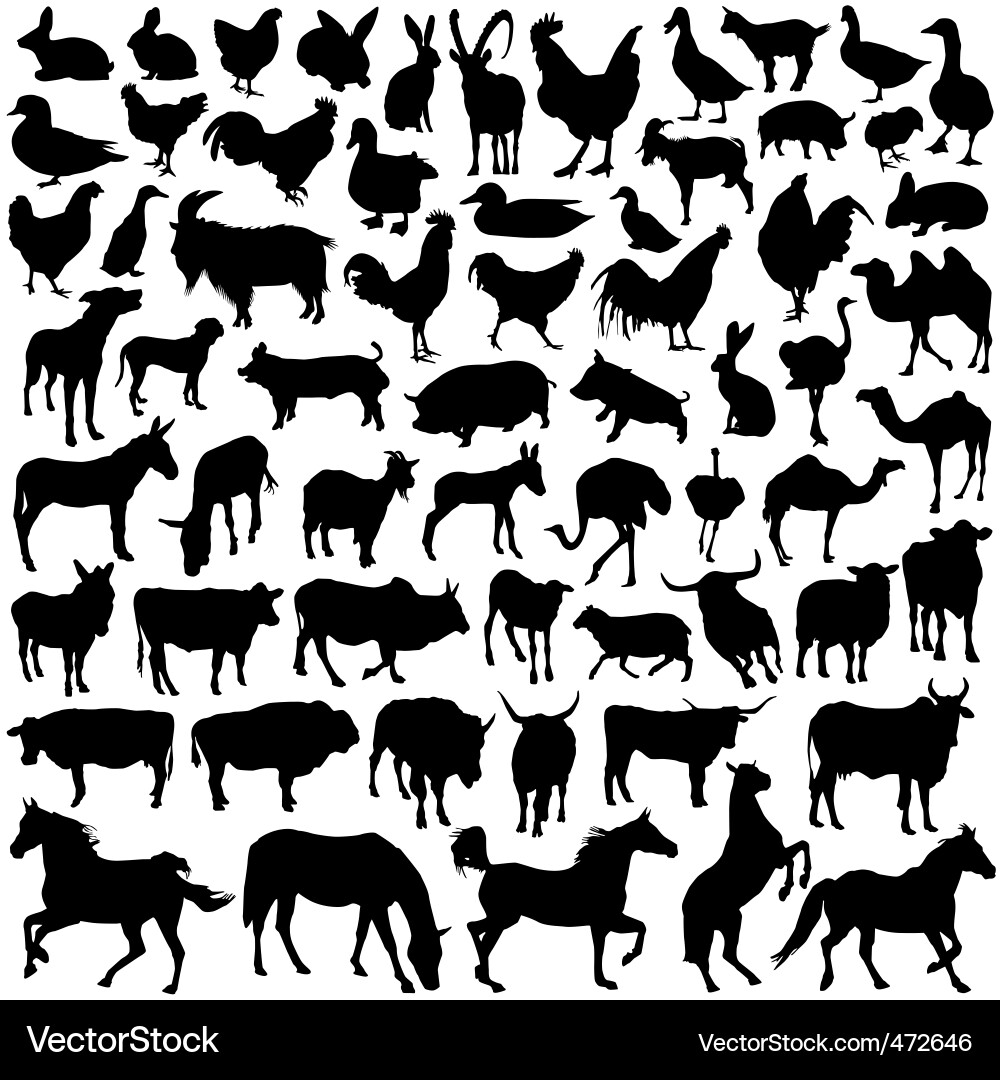 Farm animal Royalty Free Vector Image - VectorStock