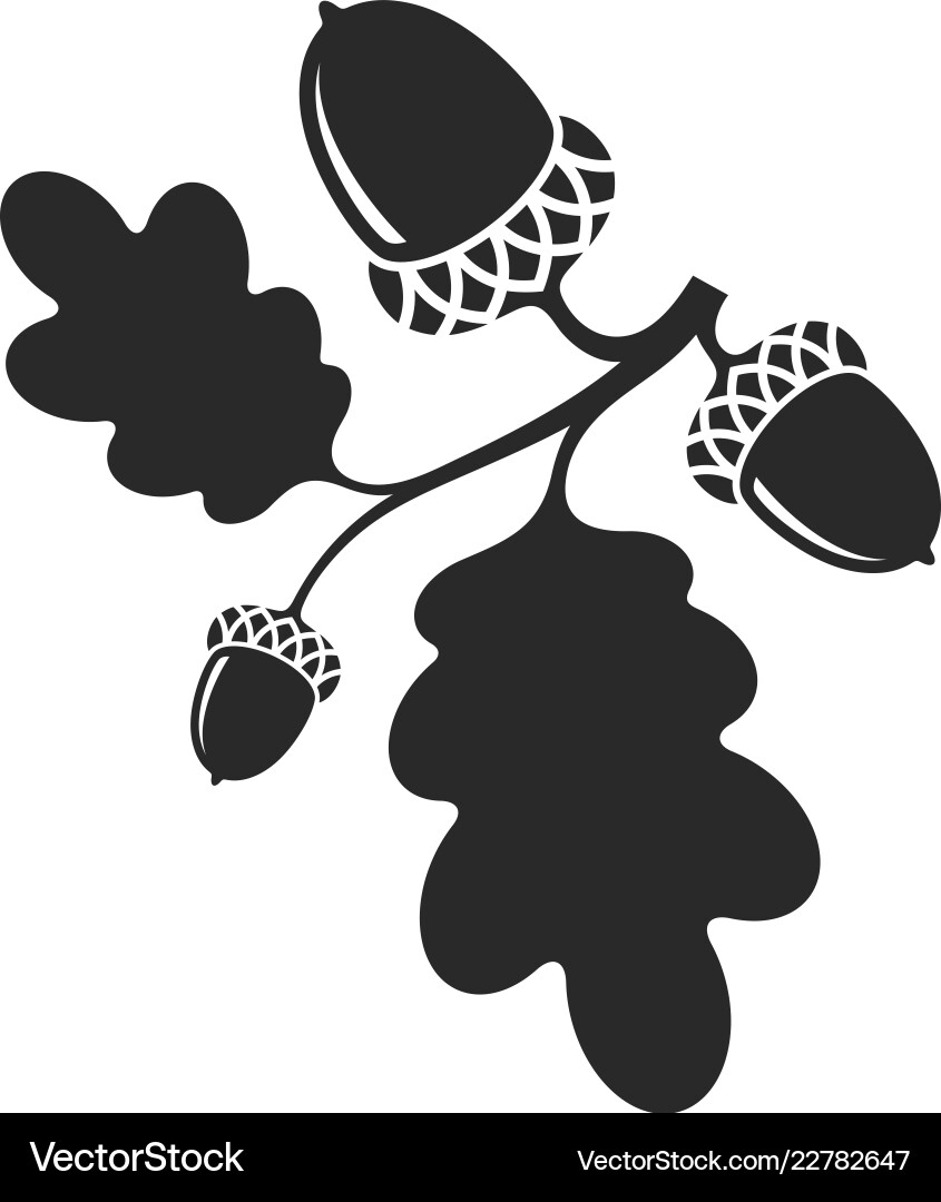 Oak isolated branch Royalty Free Vector Image - VectorStock