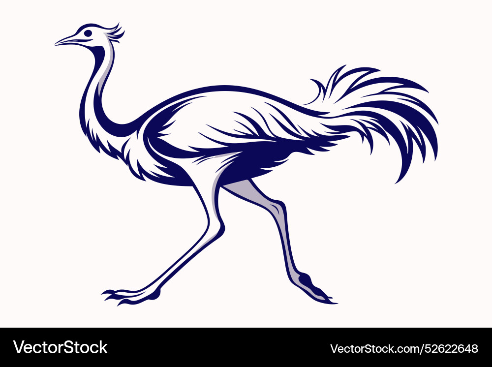 Ostrich run silhouette d Royalty Free Vector Image