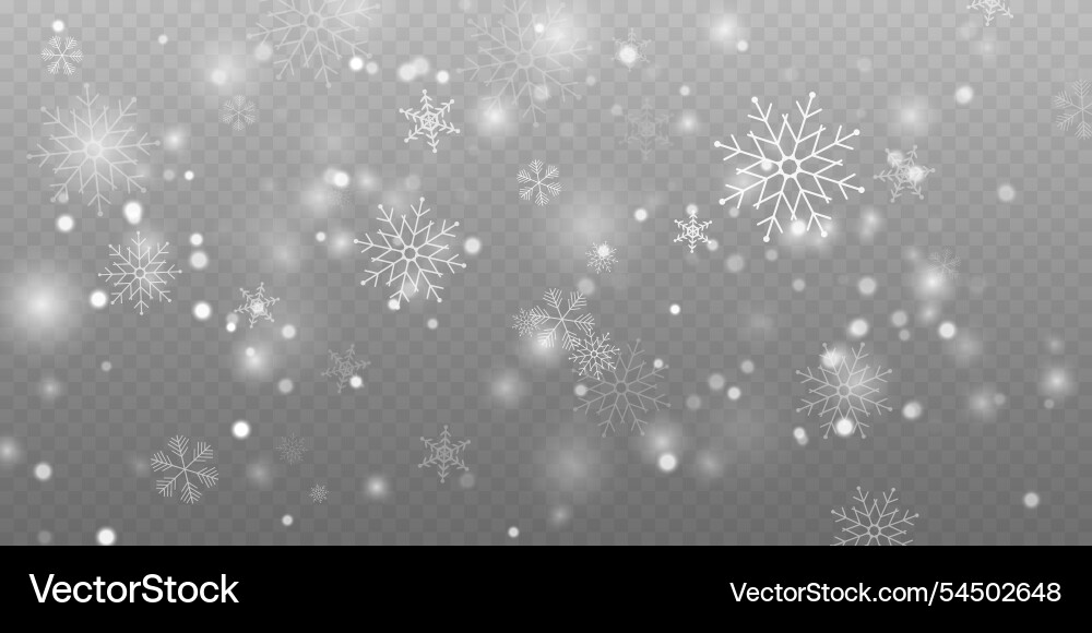 Realistic falling snow Royalty Free Vector Image