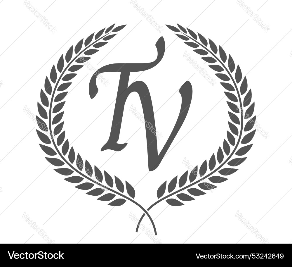 Initial letter t and v tv monogram logo design Vector Image