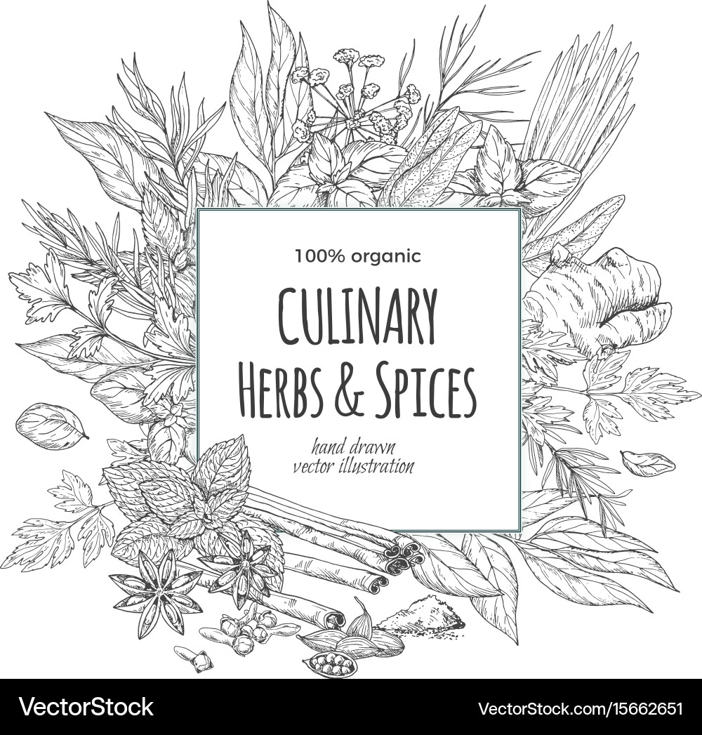 Herb & Spice Frame Royalty Free Vector Image