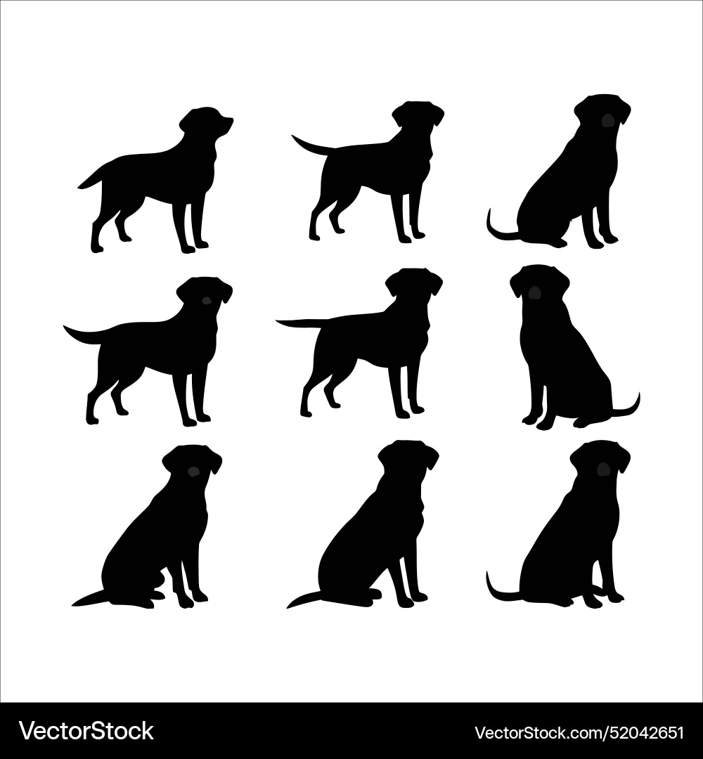 Labrador retriever dog silhouette set animals Vector Image