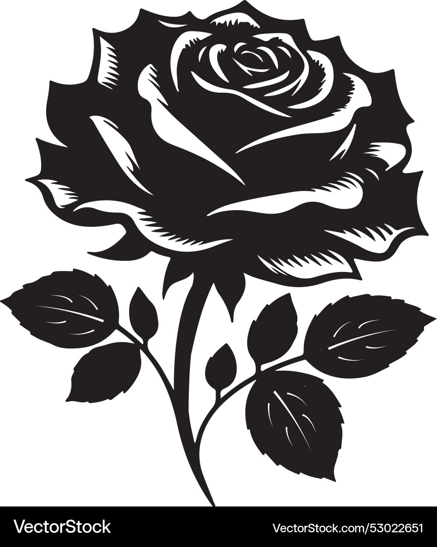 Rose flower art Royalty Free Vector Image - VectorStock