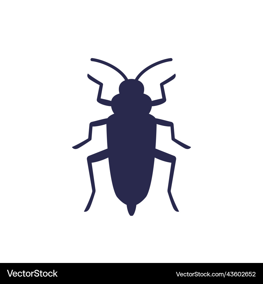 Borer bug icon on white woodboring beetle Vector Image