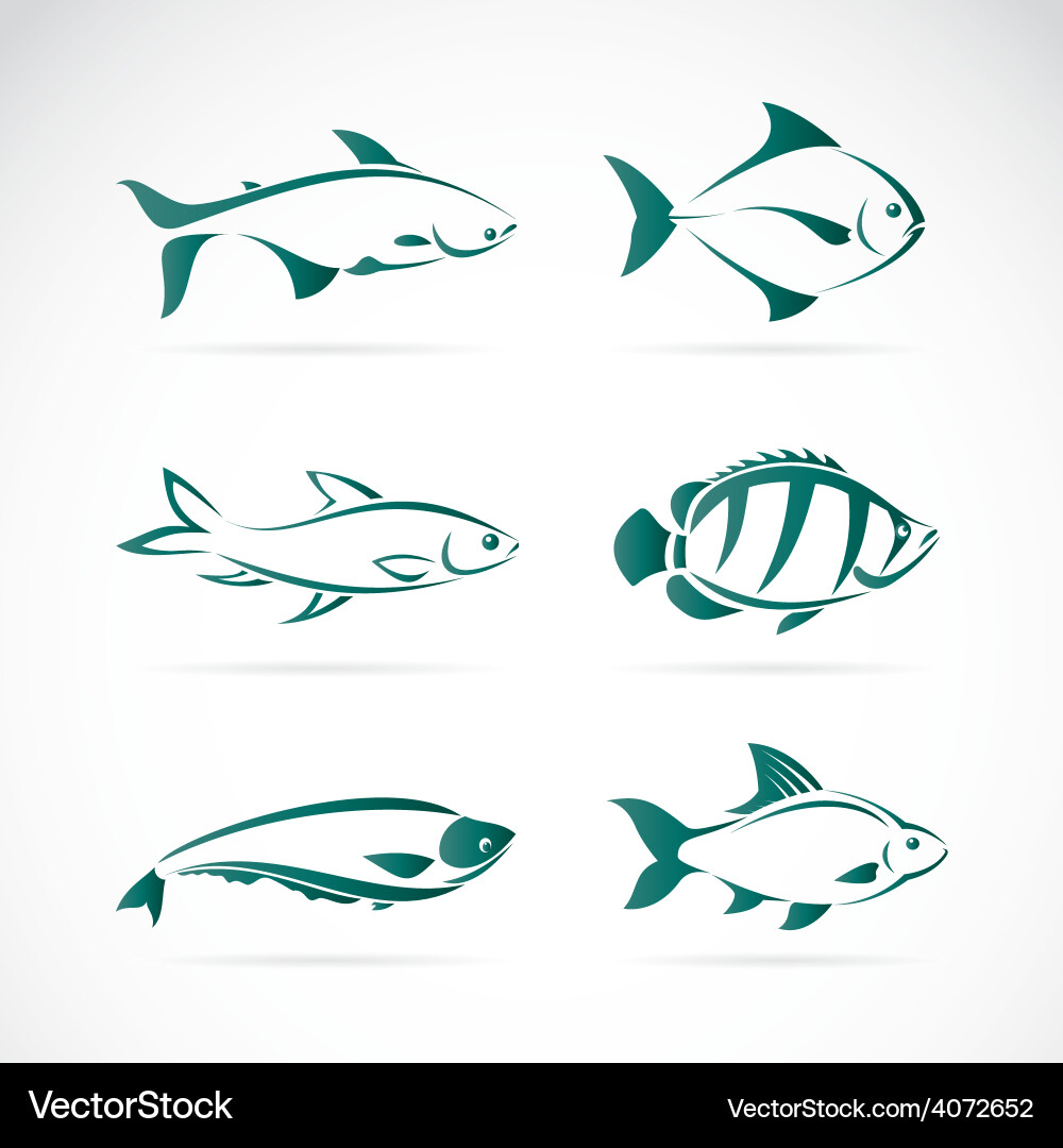 Group of fish Royalty Free Vector Image - VectorStock