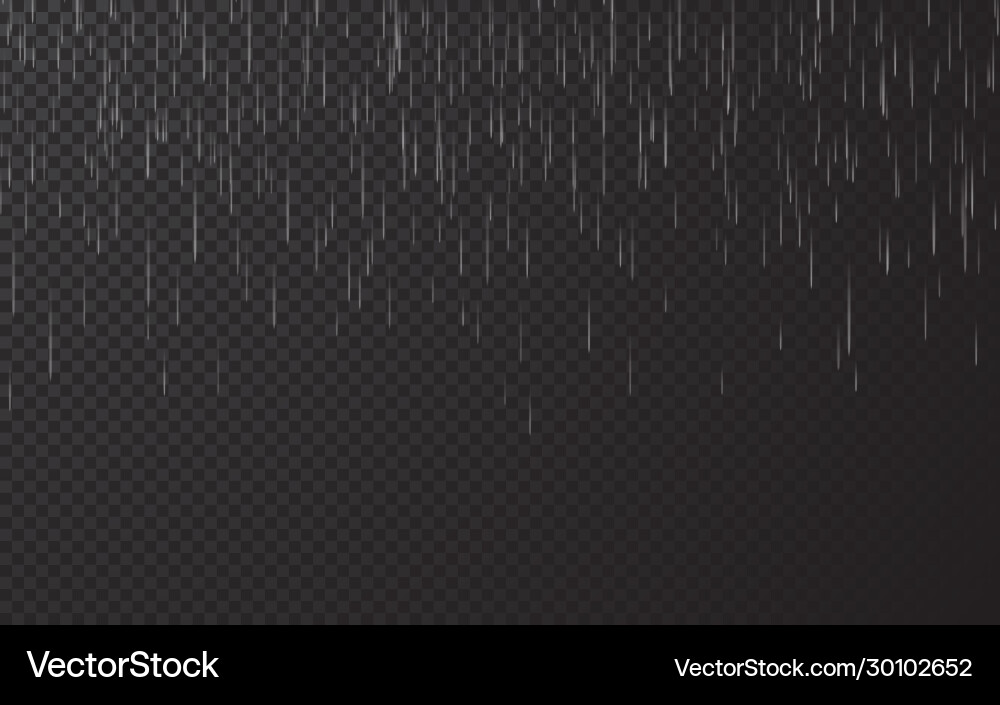 Rain drops on transparent background falling Vector Image