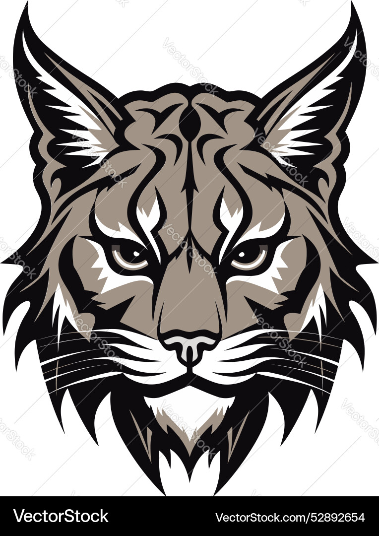 Bobcat a wild predator animal in a format bobcat Vector Image