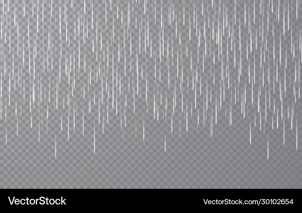 Rain drops on transparent background falling Vector Image