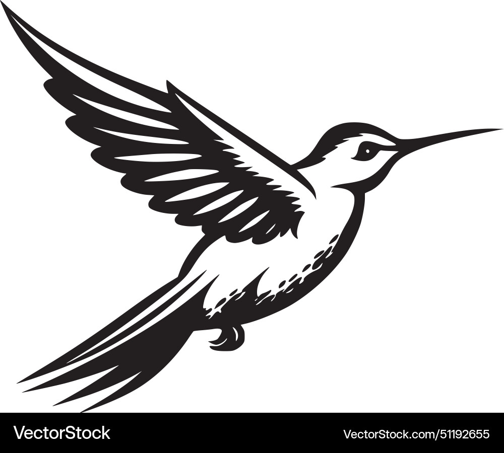 Hummingbird - black and white Royalty Free Vector Image