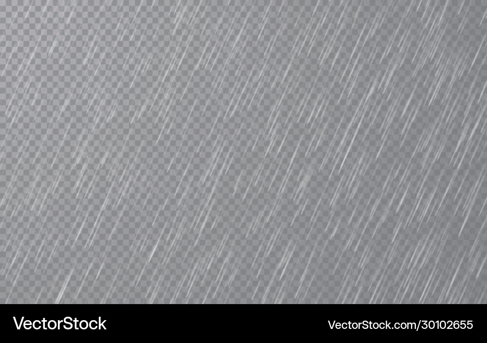 Rain drops on transparent background falling Vector Image