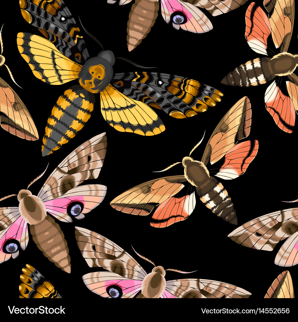 Flying moths seamless Royalty Free Vector Image