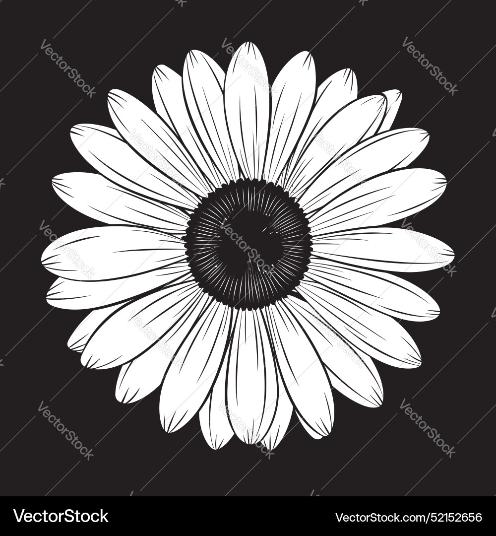 Natures charm gerbera daisy emblem Royalty Free Vector Image