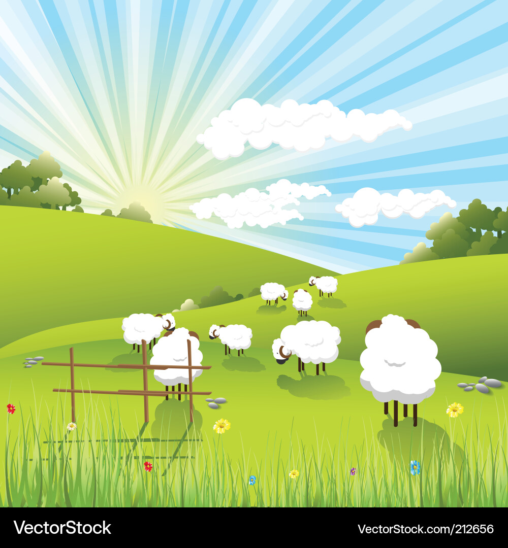 Sheep Royalty Free Vector Image - VectorStock