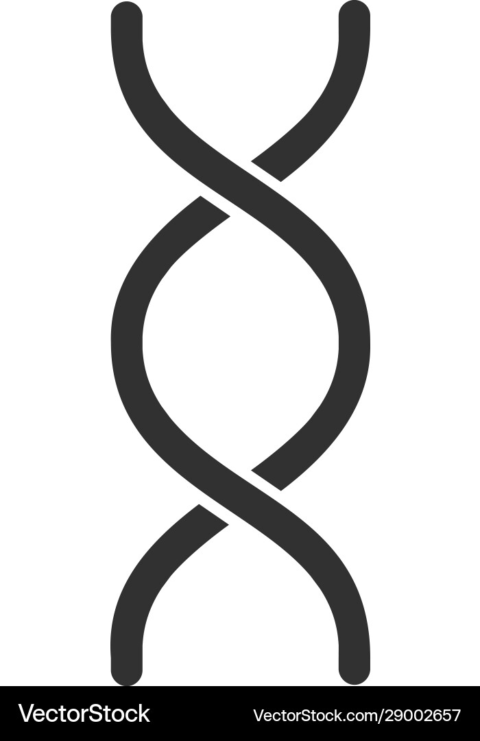 Dna Vector Icon Dna Spiral Icon White Royalty Free Vector Image