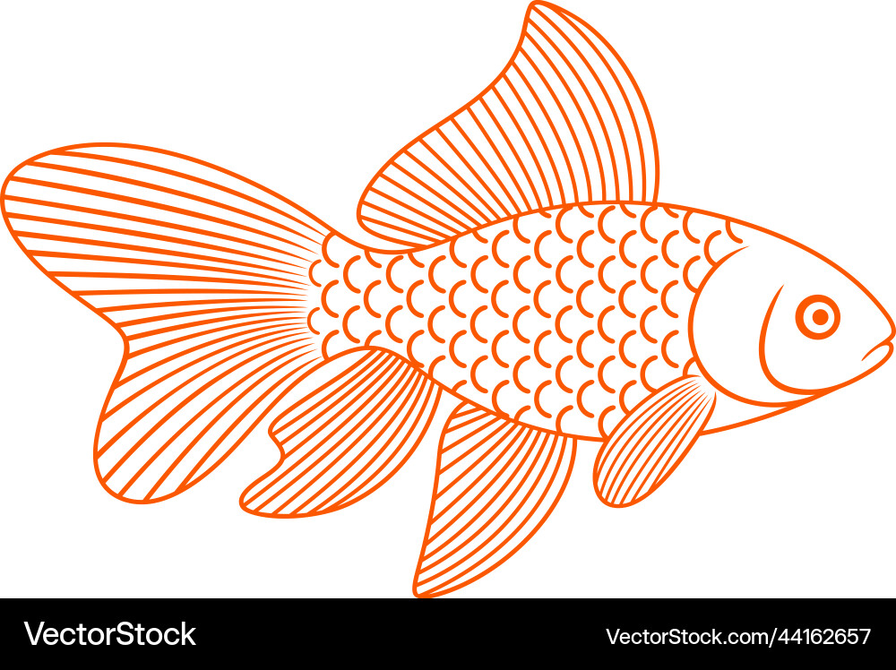 Gold fish Royalty Free Vector Image - VectorStock