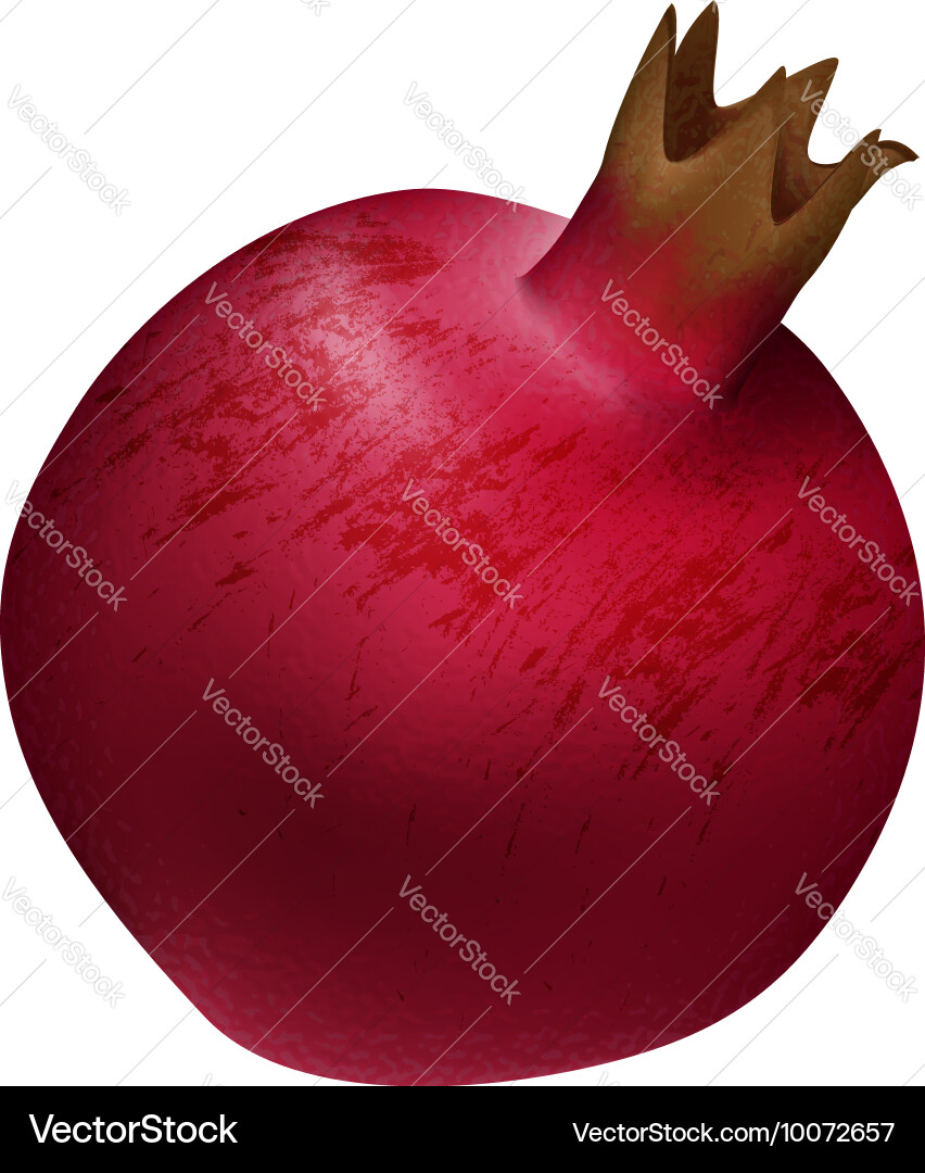 Pomegranate Royalty Free Vector Image - VectorStock