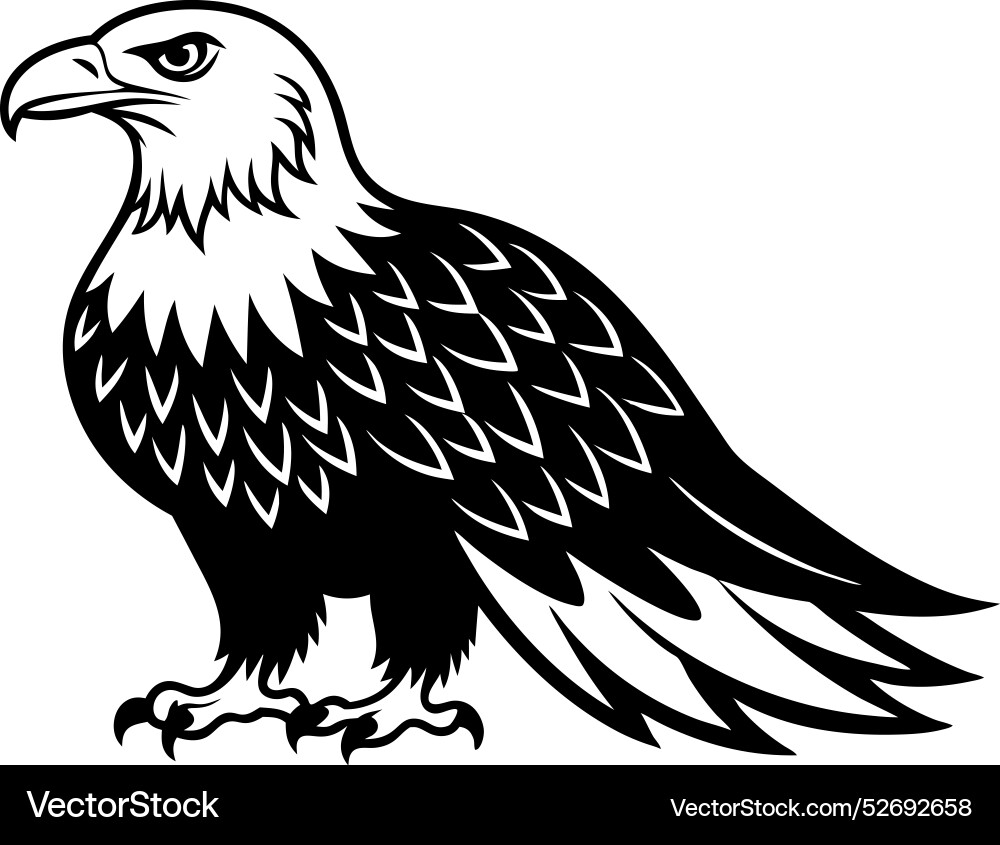 Bald eagle Royalty Free Vector Image - VectorStock