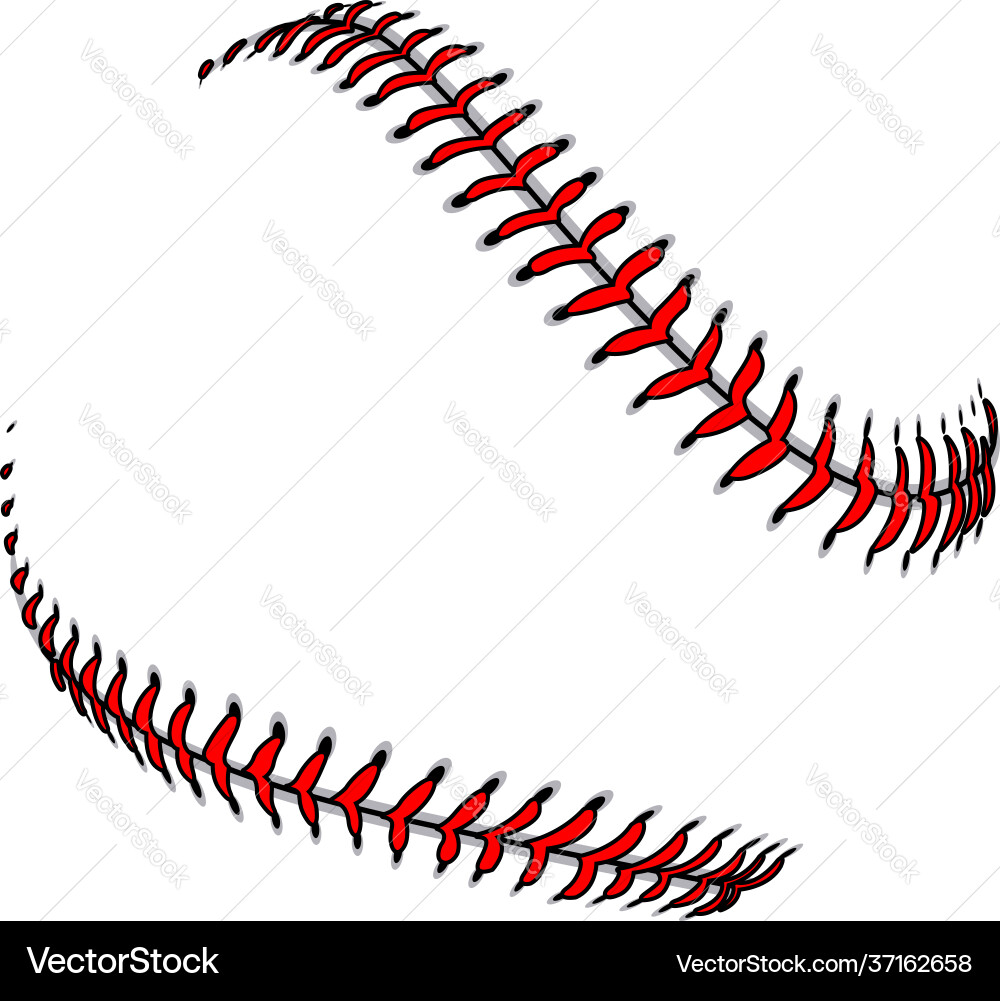 Baseball or softball laces stiching seams Vector Image