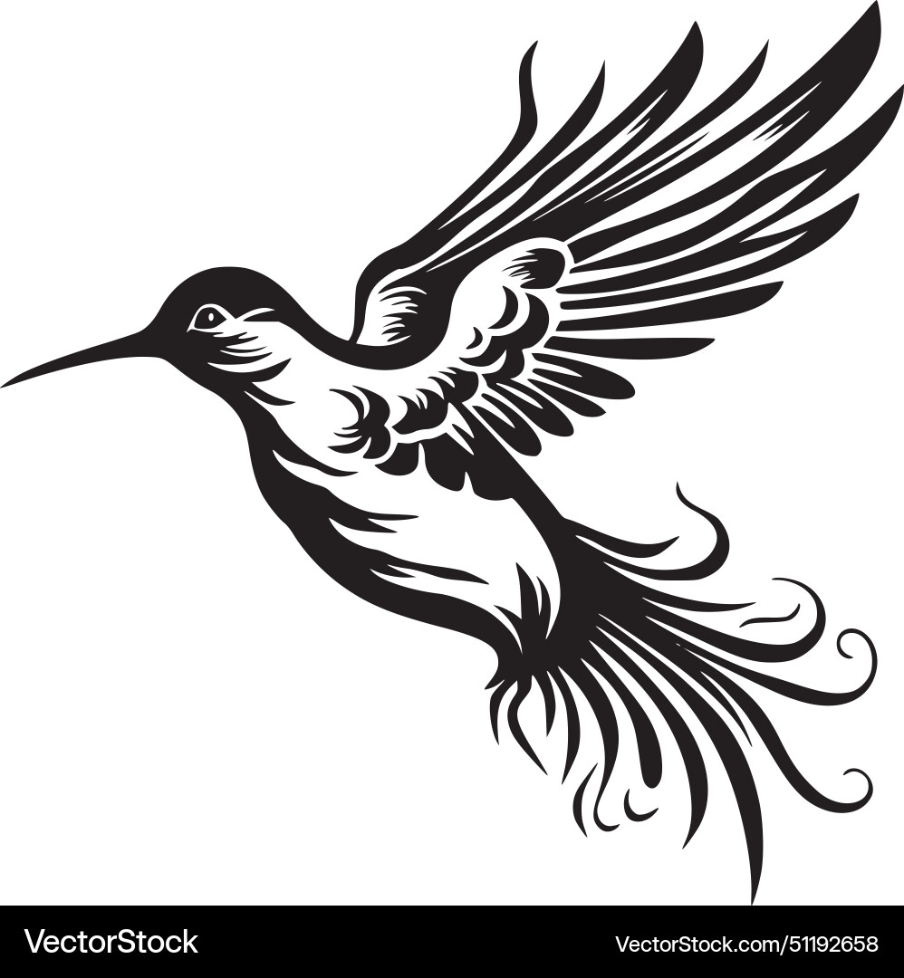 Hummingbird - black and white Royalty Free Vector Image
