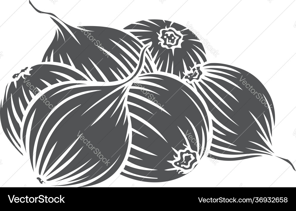 Pile onion bulbs glyph icon Royalty Free Vector Image