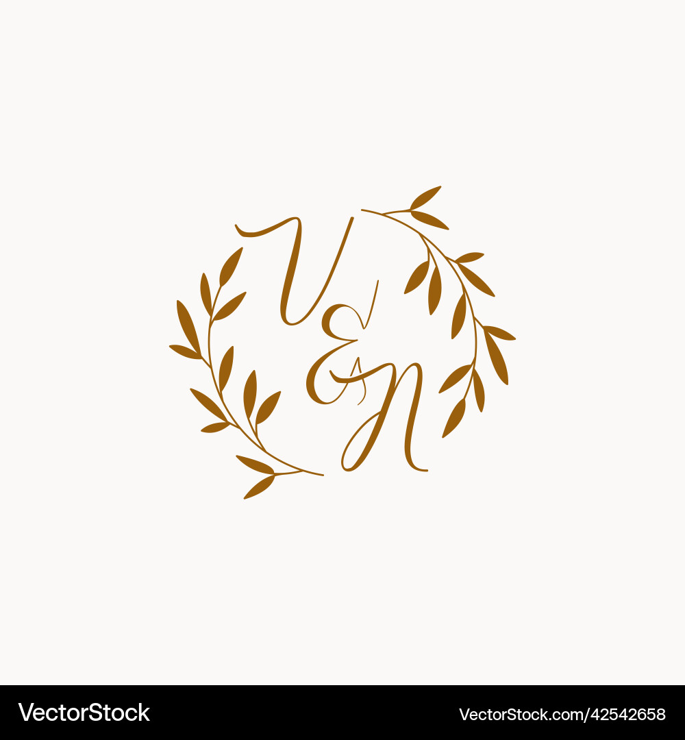 Vn initial wedding monogram logo Royalty Free Vector Image