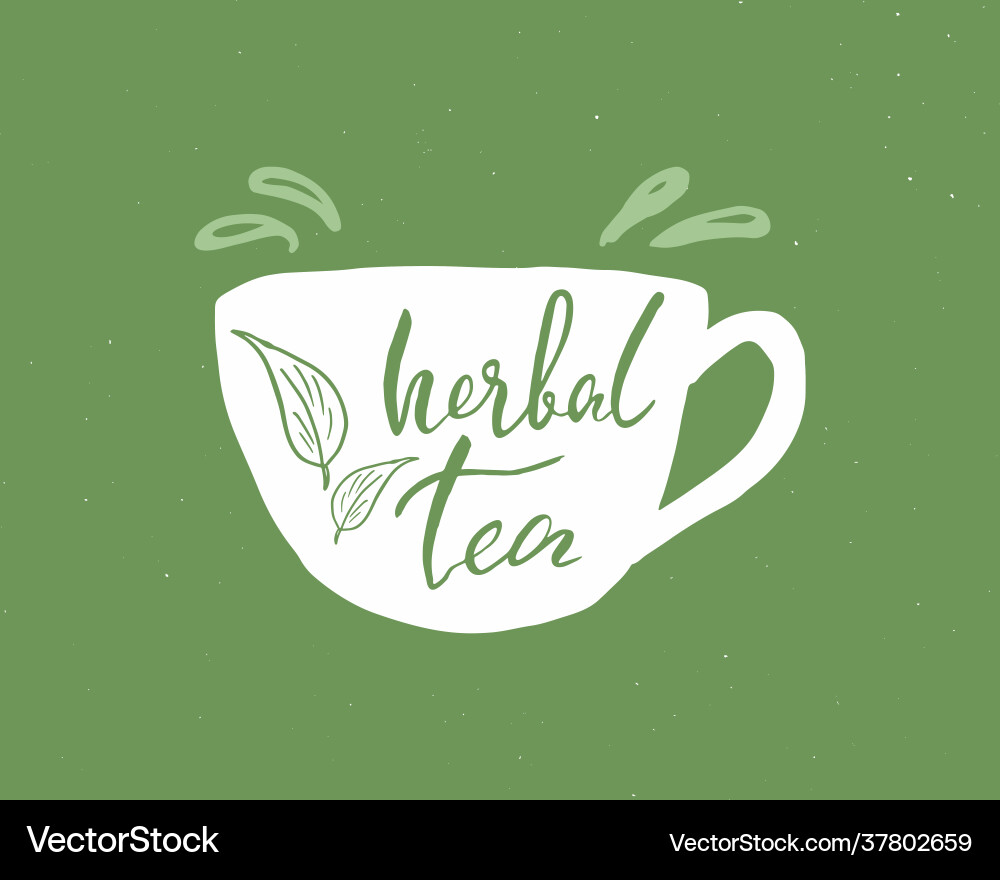 Herbal tea lettering handwritten sign hand drawn Vector Image