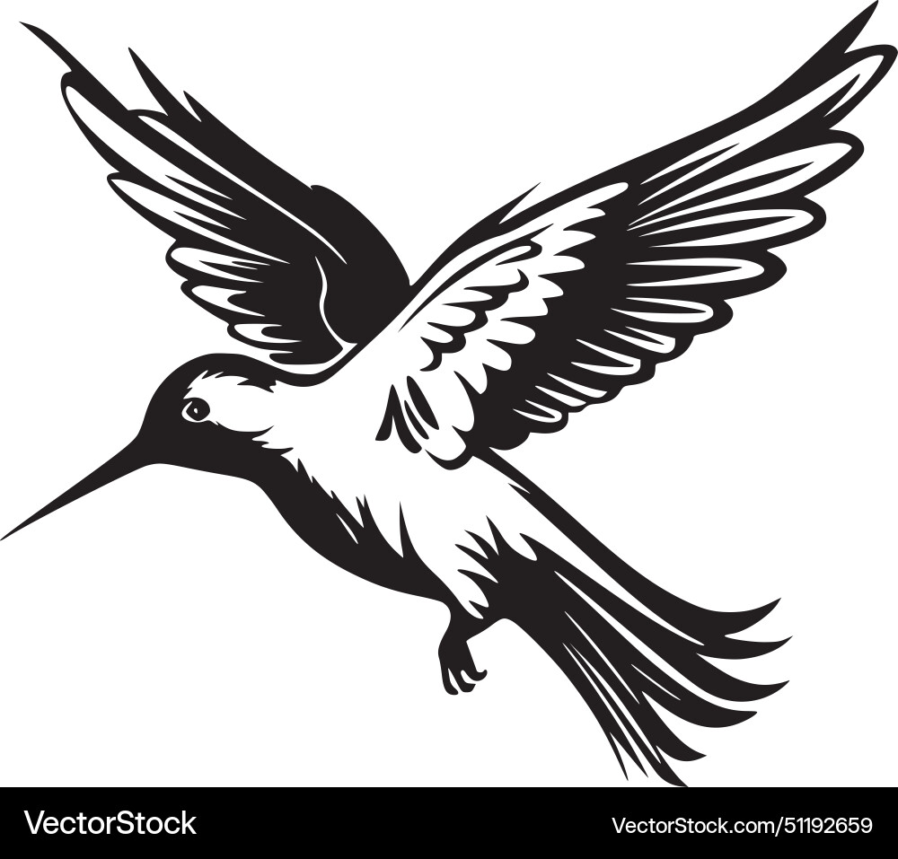 Hummingbird - minimalist and simple silhouette Vector Image