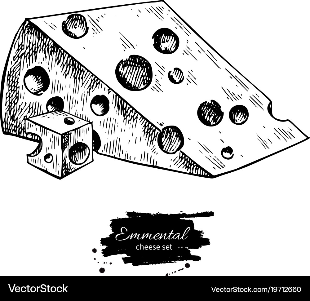 Emmental cheese drawing hand drawn food Royalty Free Vector