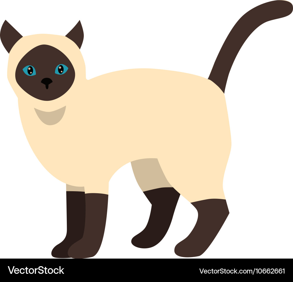 Cartoon siamese cat character Royalty Free Vector Image