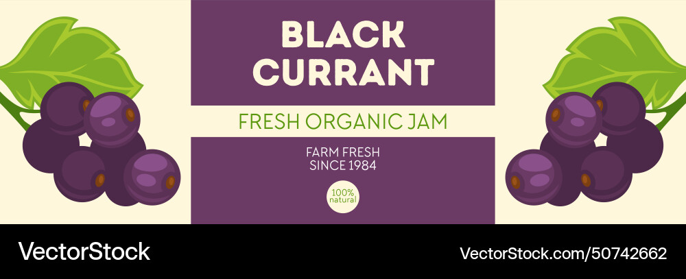 Black currant fresh organic jam sticker or label Vector Image