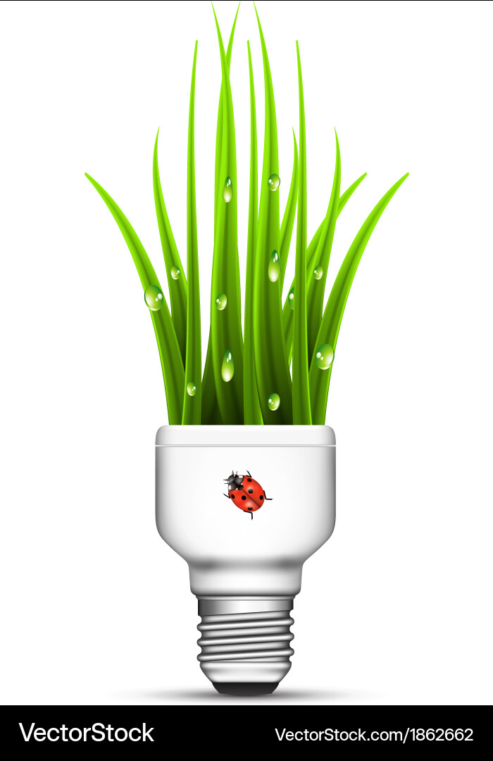 Bulb Royalty Free Vector Image - VectorStock