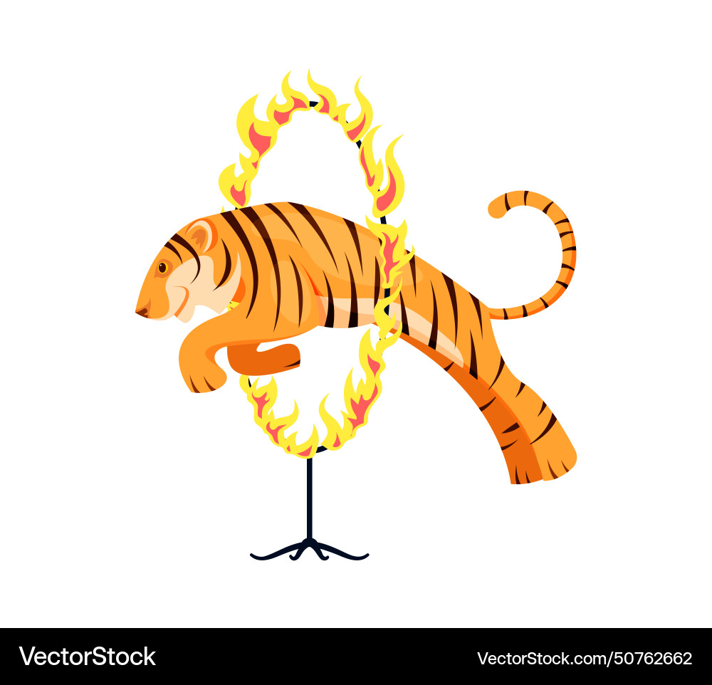Tiger Jumping Through Fire Ring Royalty Free Vector Image