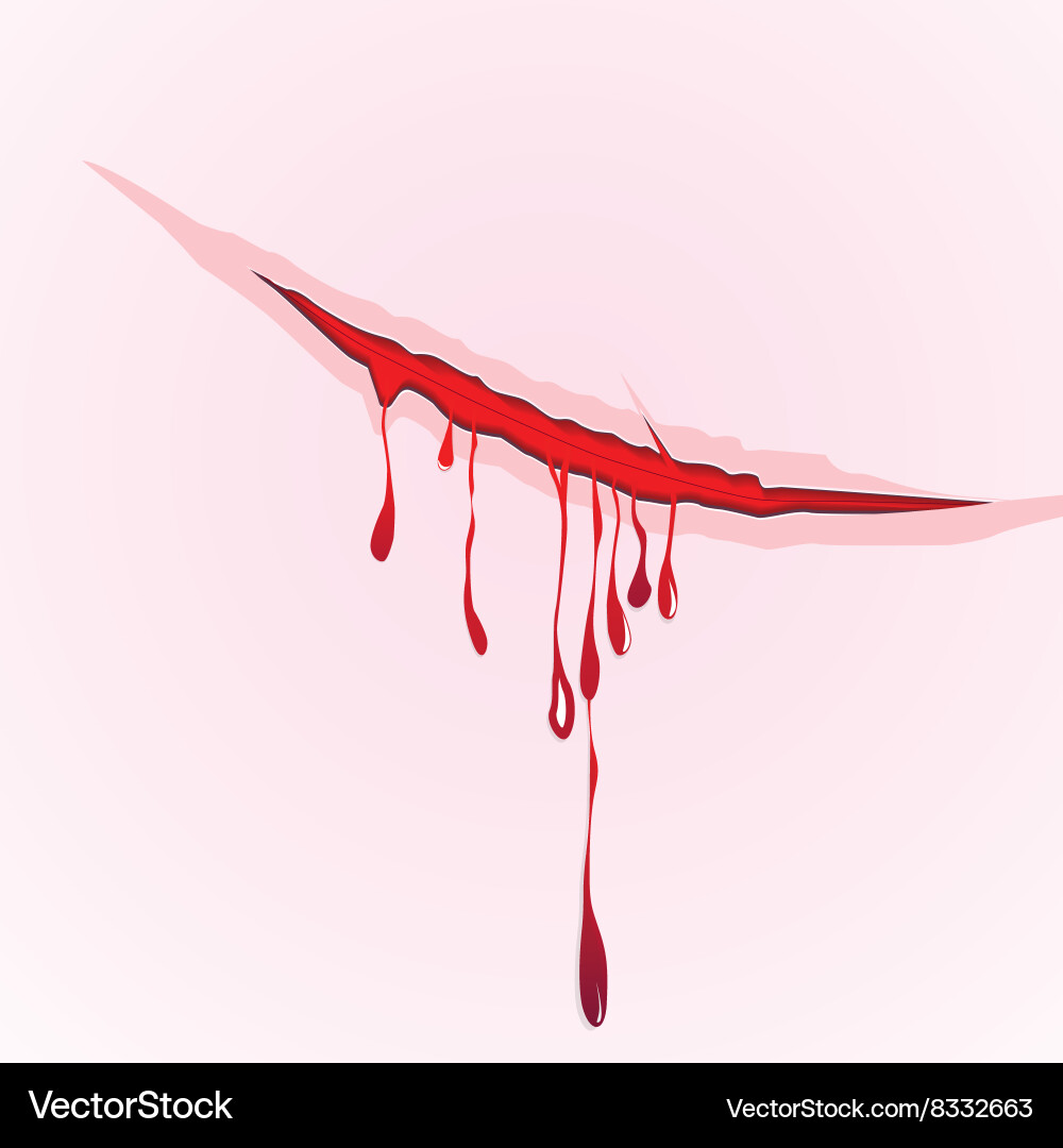 Blood Splatter and Claw Marks Royalty Free Vector Image