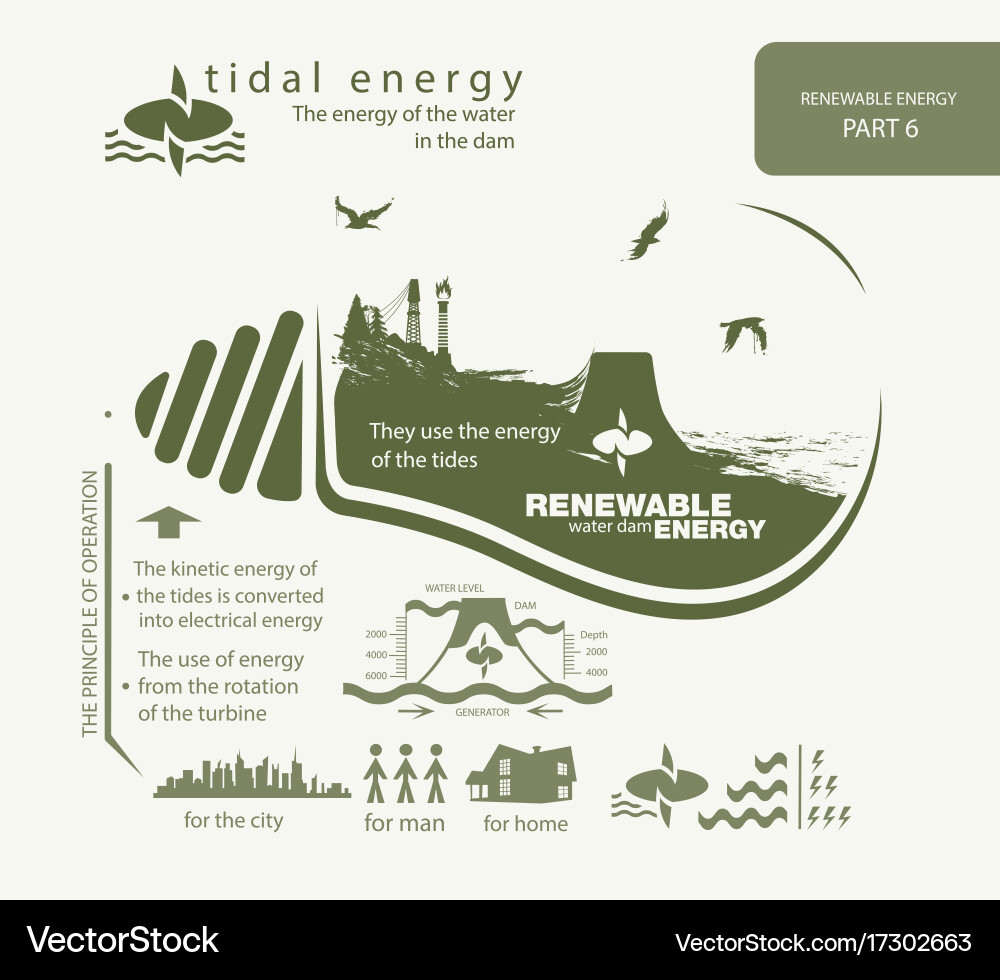 Infographics renewable source of tidal energy Vector Image
