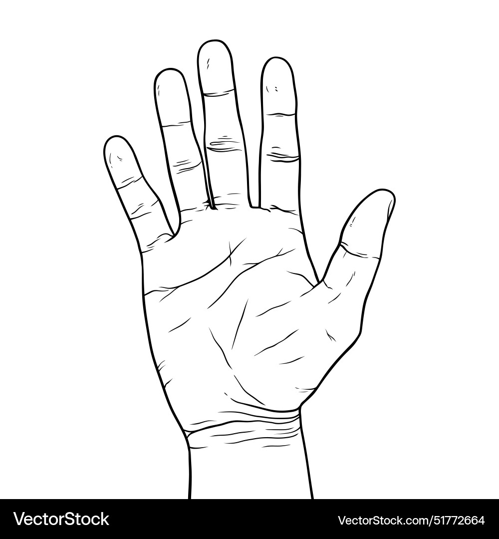 Man showing open palm black and white drawing Vector Image