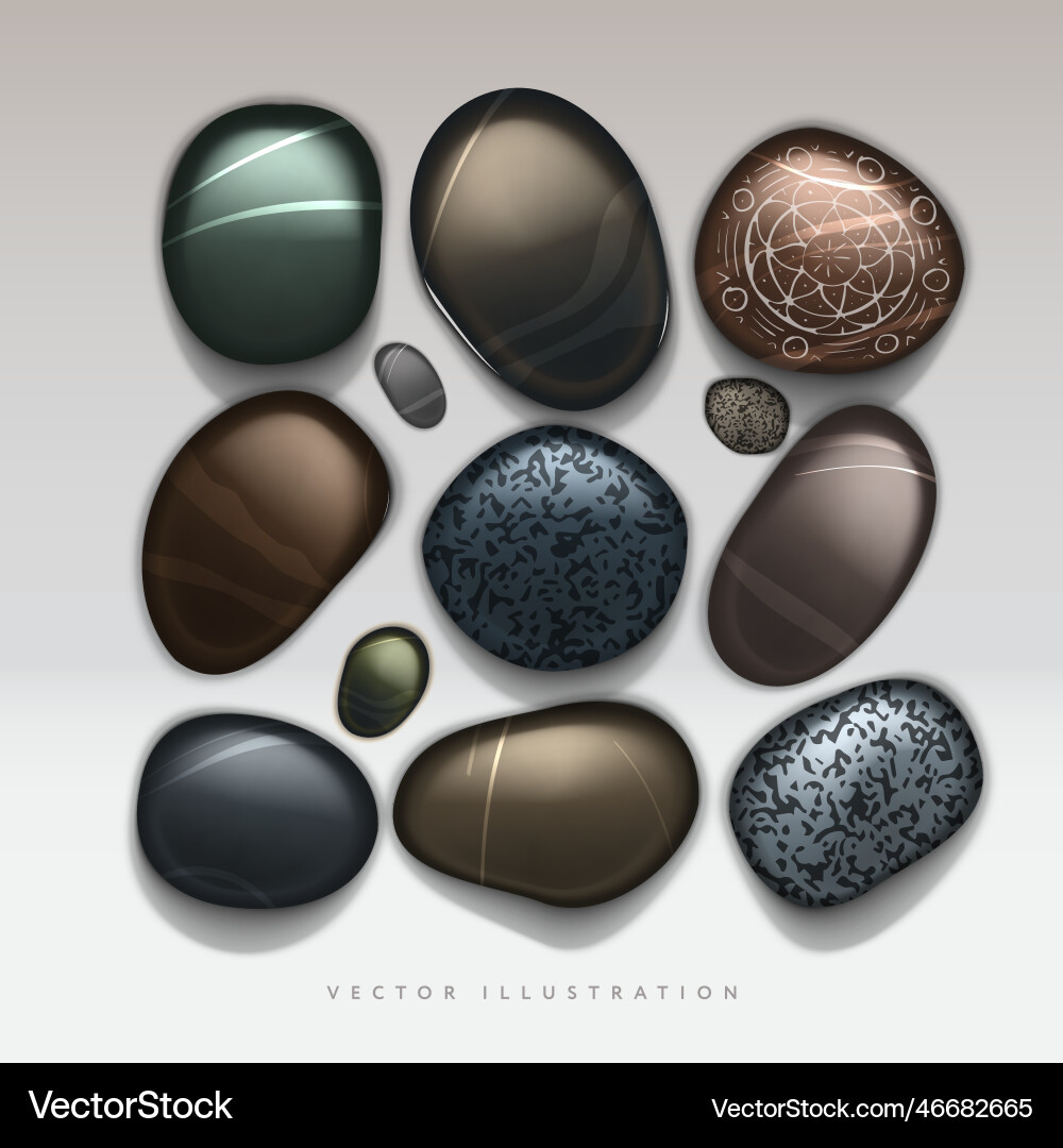 Collection of different colored pebble stones Vector Image