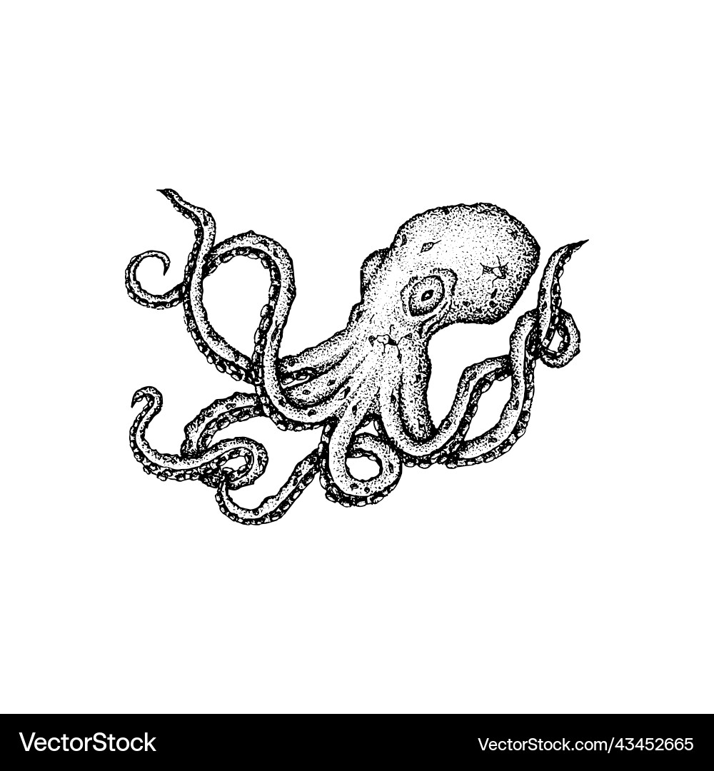 Octopus dotwork drawing Royalty Free Vector Image