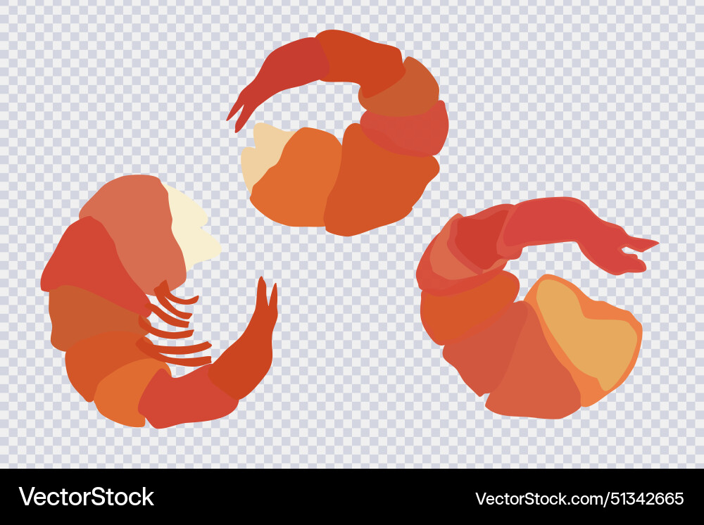 Seafood shrimp prawn icons set Royalty Free Vector Image
