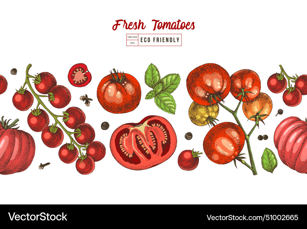 Tomatoes colorful seamless border Royalty Free Vector Image