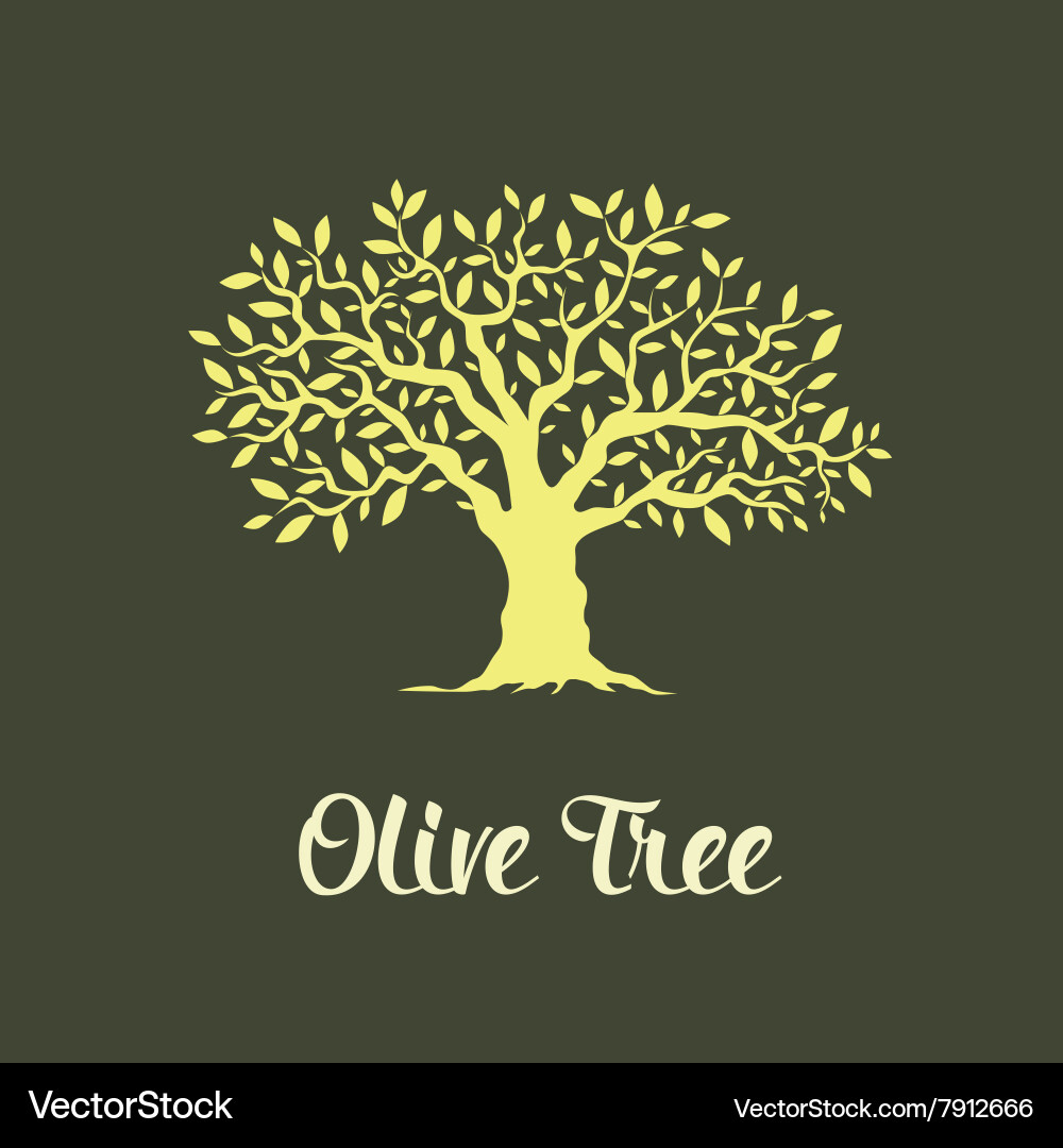 Elegant Olive Tree Royalty Free Vector Image - VectorStock