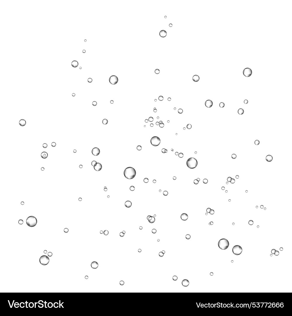 Oxygen air bubbles flow in water on white Vector Image