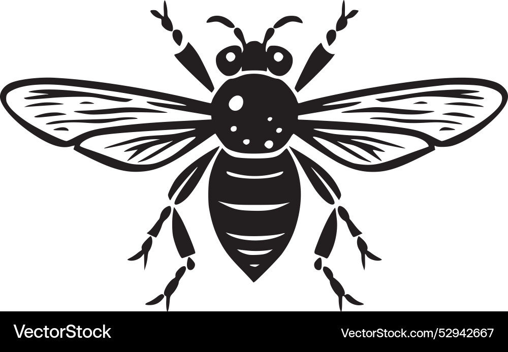 Fly - black and white isolated icon Royalty Free Vector