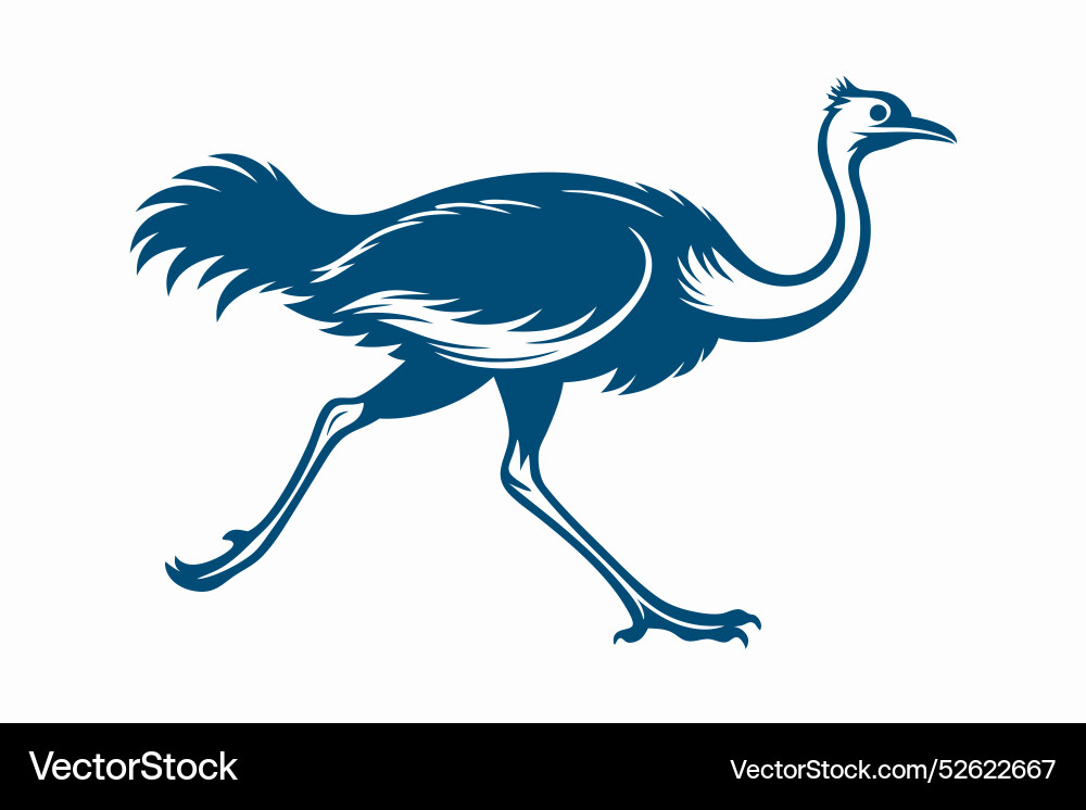 Ostrich run silhouette g Royalty Free Vector Image