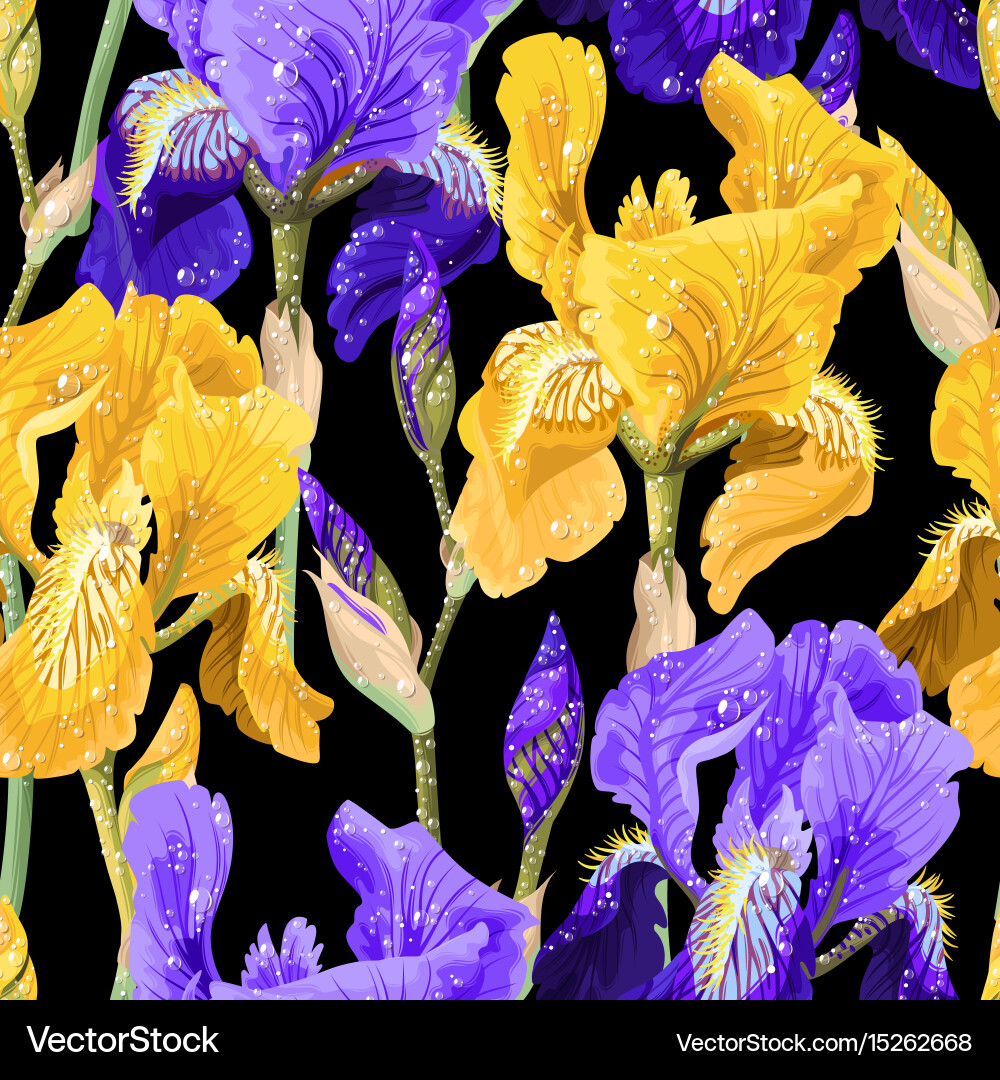Floral pattern with iris flowers Royalty Free Vector Image
