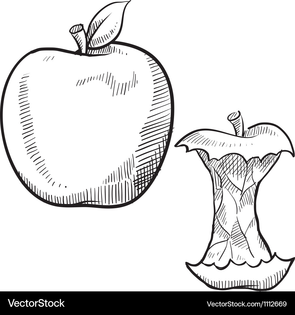Apple Core Doodle Sketch Royalty Free Vector Image