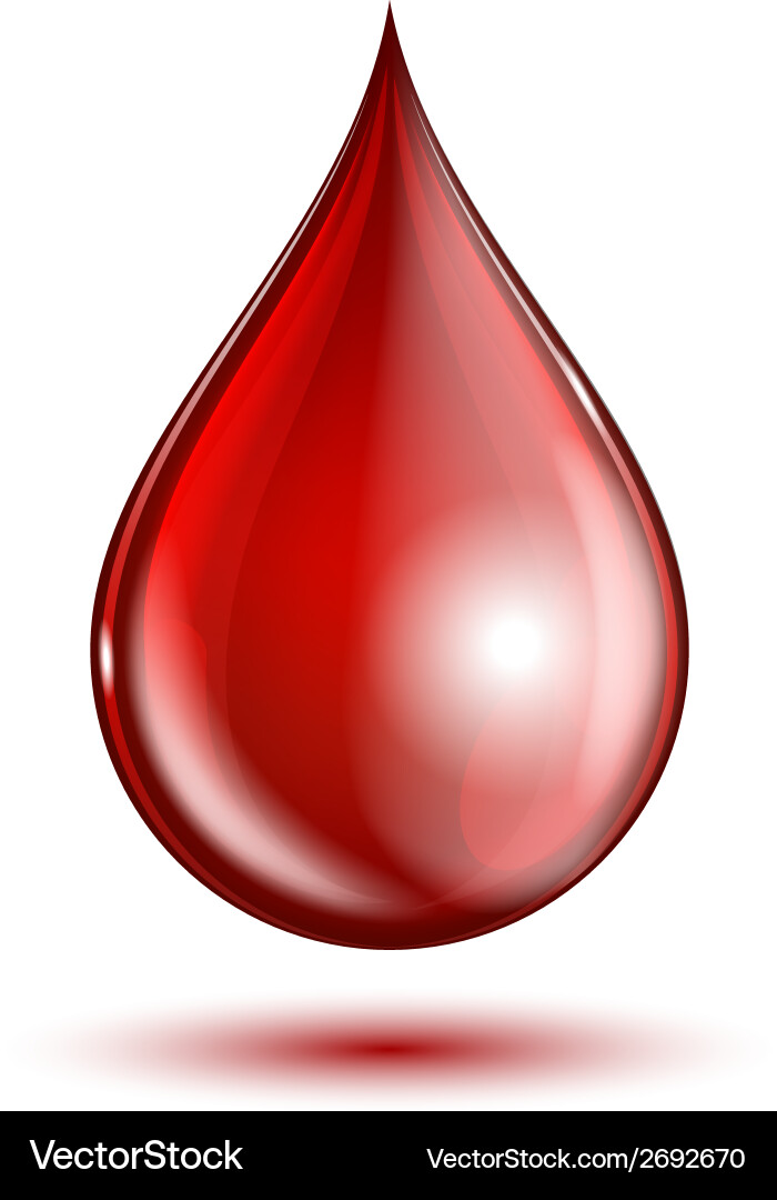 Blood drop isolated on white background Royalty Free Vector