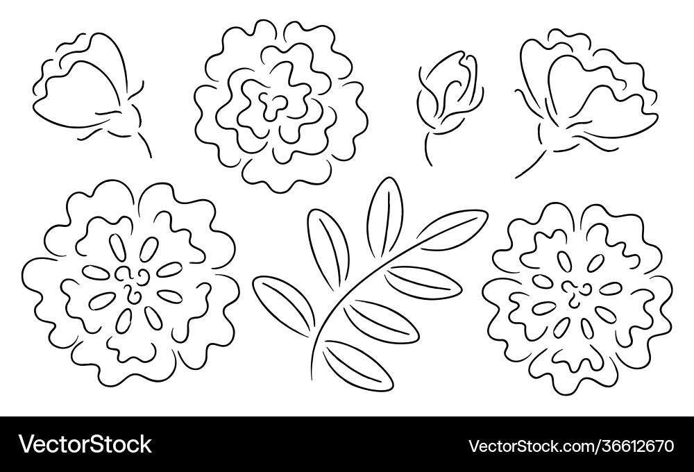 Elegant Rose Doodles Royalty Free Vector Image
