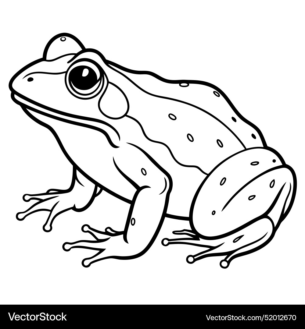 Frilled lizard play icon Royalty Free Vector Image