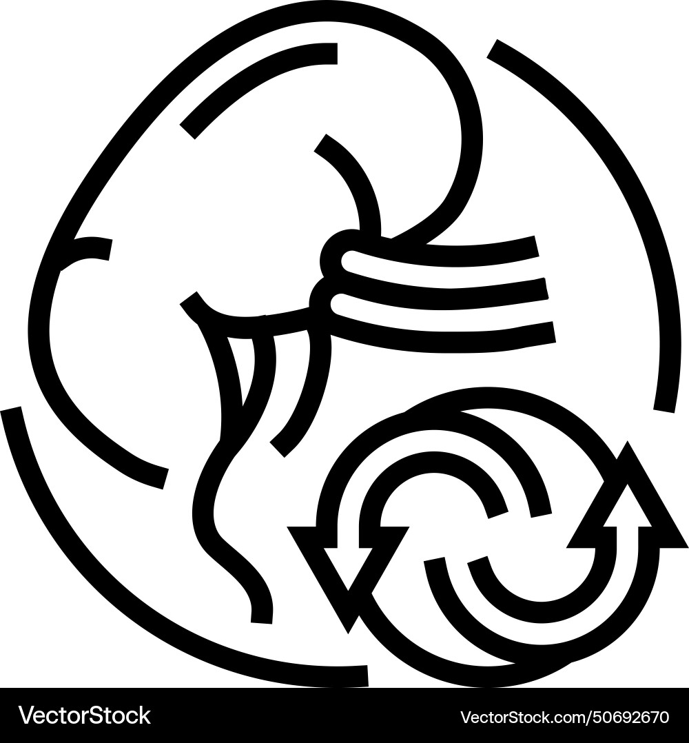 Kidney transplant surgery line icon Royalty Free Vector